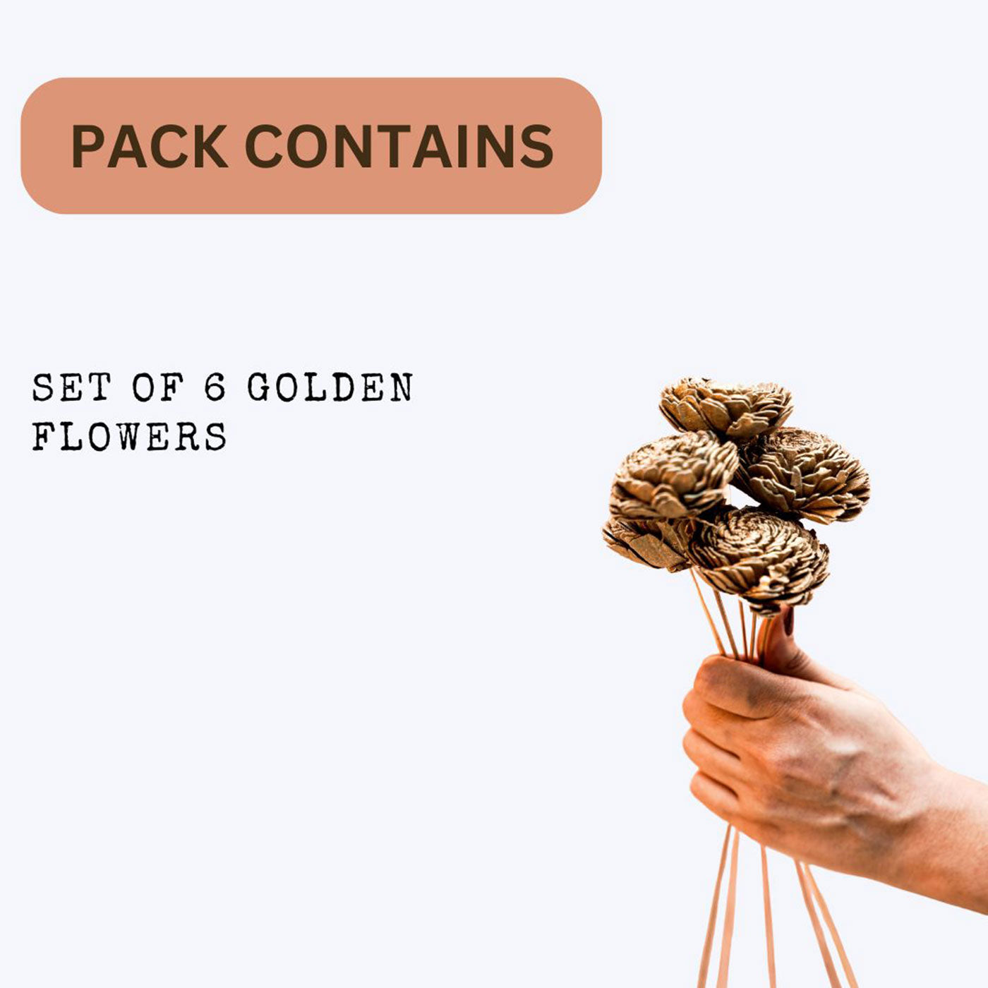 Sola Golden-6 – DecorTwist